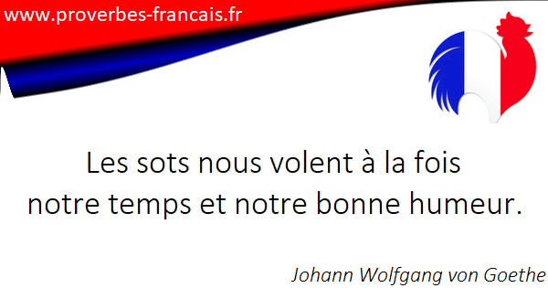 Les citations sur sots